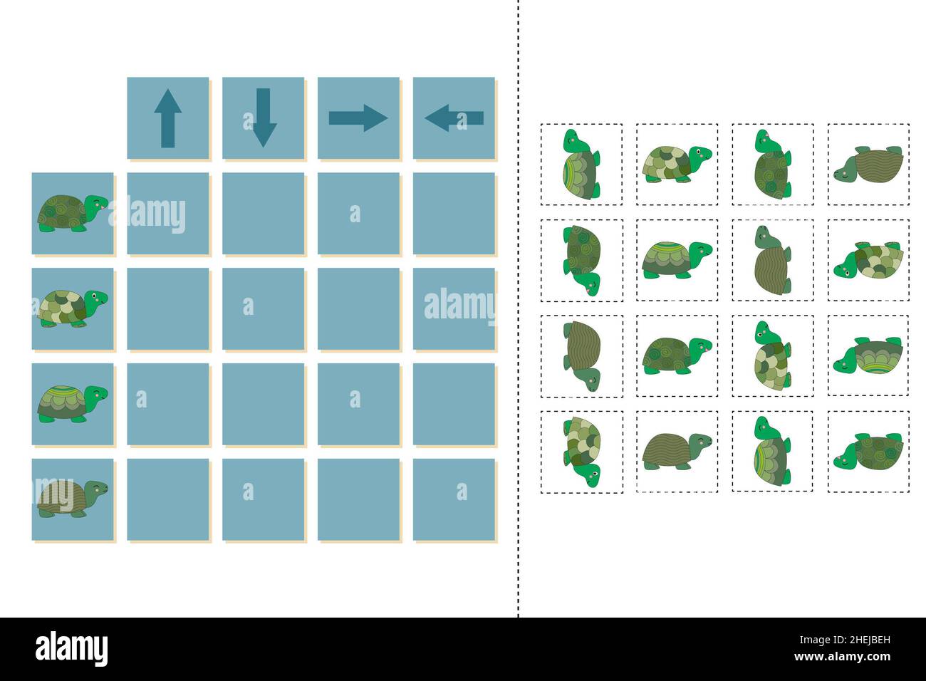 Match the pictures of pets turtles and directions up, down, left and ...