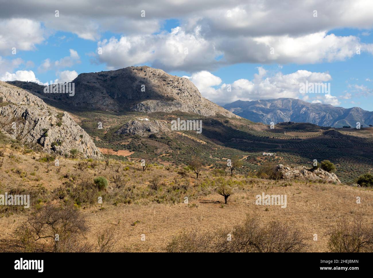 Olive trees and limestone mountains near village of Aldea de Guaro ...
