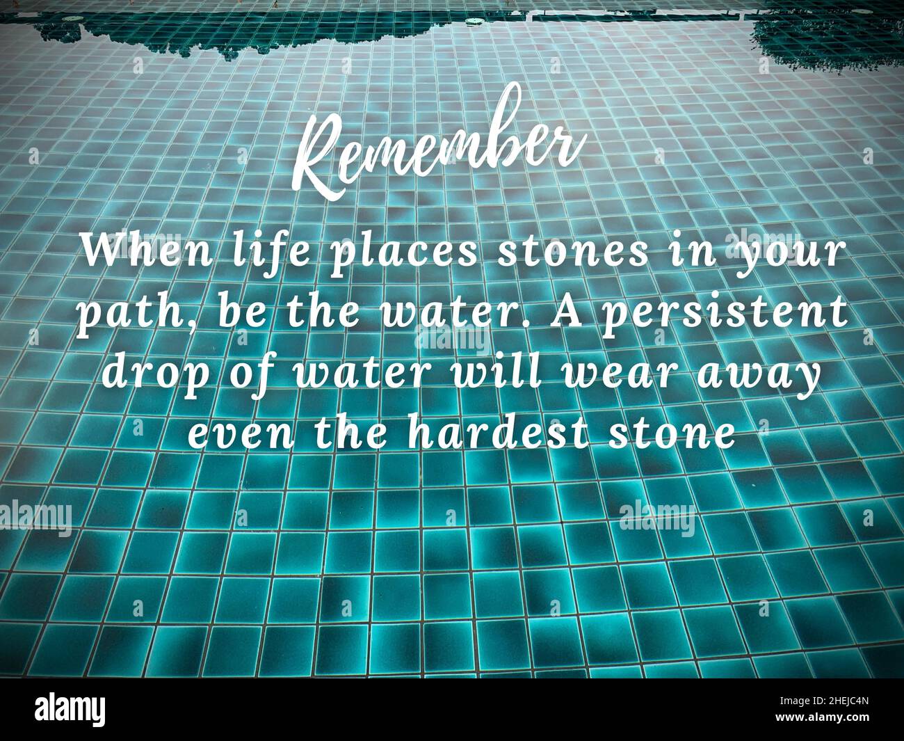 Swimming Pool Quotes