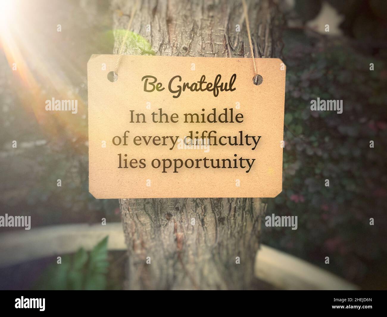 Quotes About Difficulties