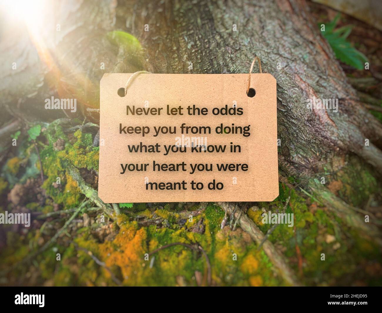 Motivational and inspiration quotes on wooden cardboard. With tree ...