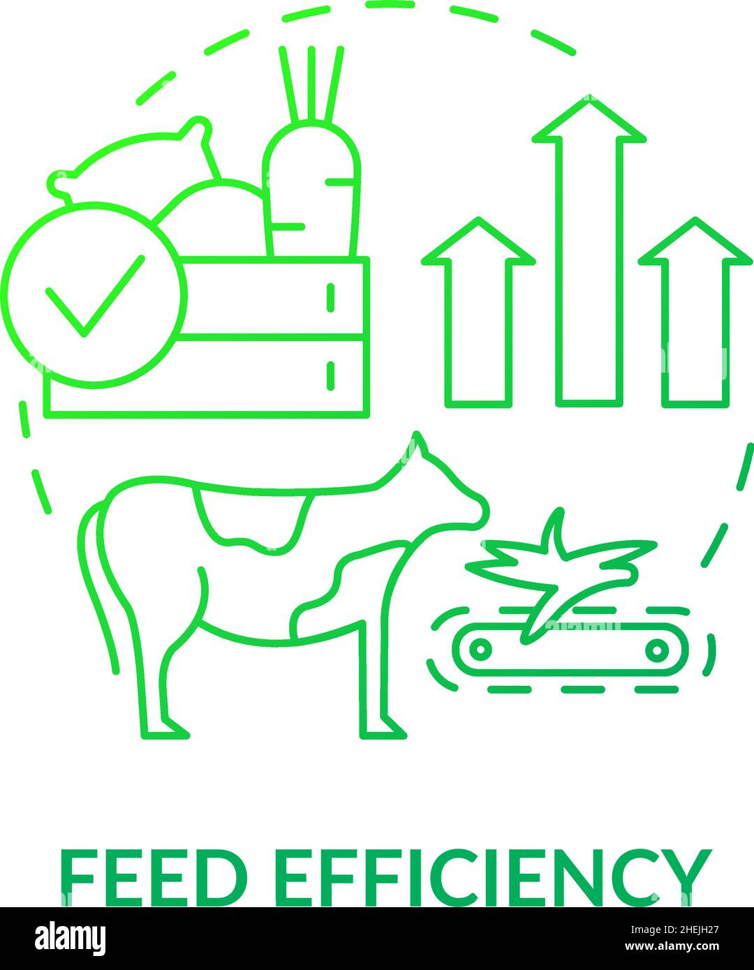 Feed efficiency hi-res stock photography and images - Alamy