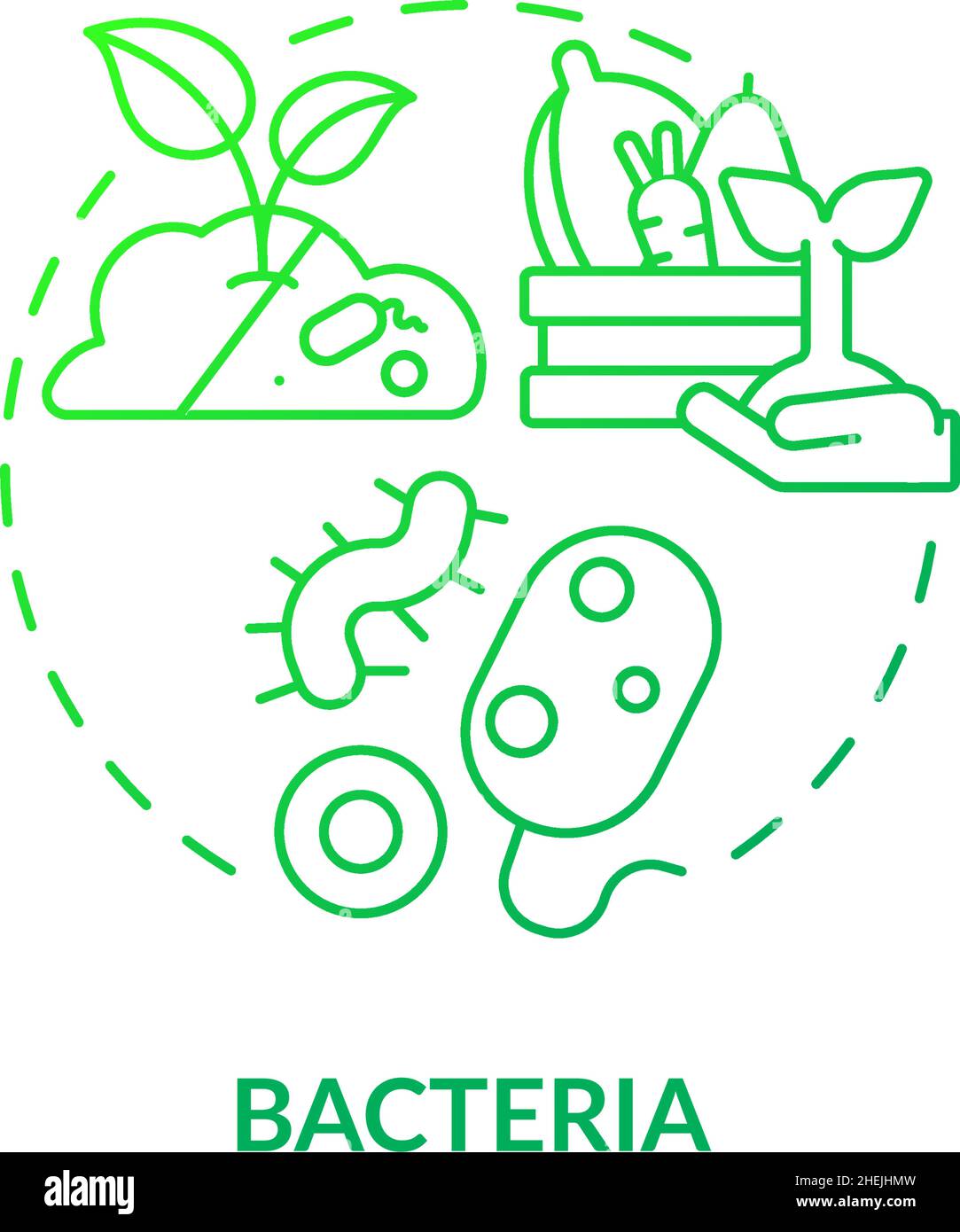 Bacteria green gradient concept icon Stock Vector Image & Art - Alamy