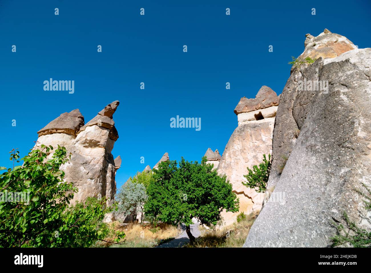 Cappadocia. Fairy Chimneys in Pasabagi Goreme Cappadocia. Travel to ...