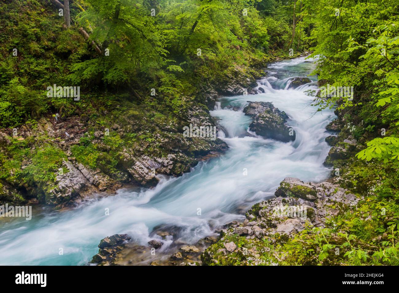 Vintgar gorge near Bled, Slovenia Stock Photo - Alamy