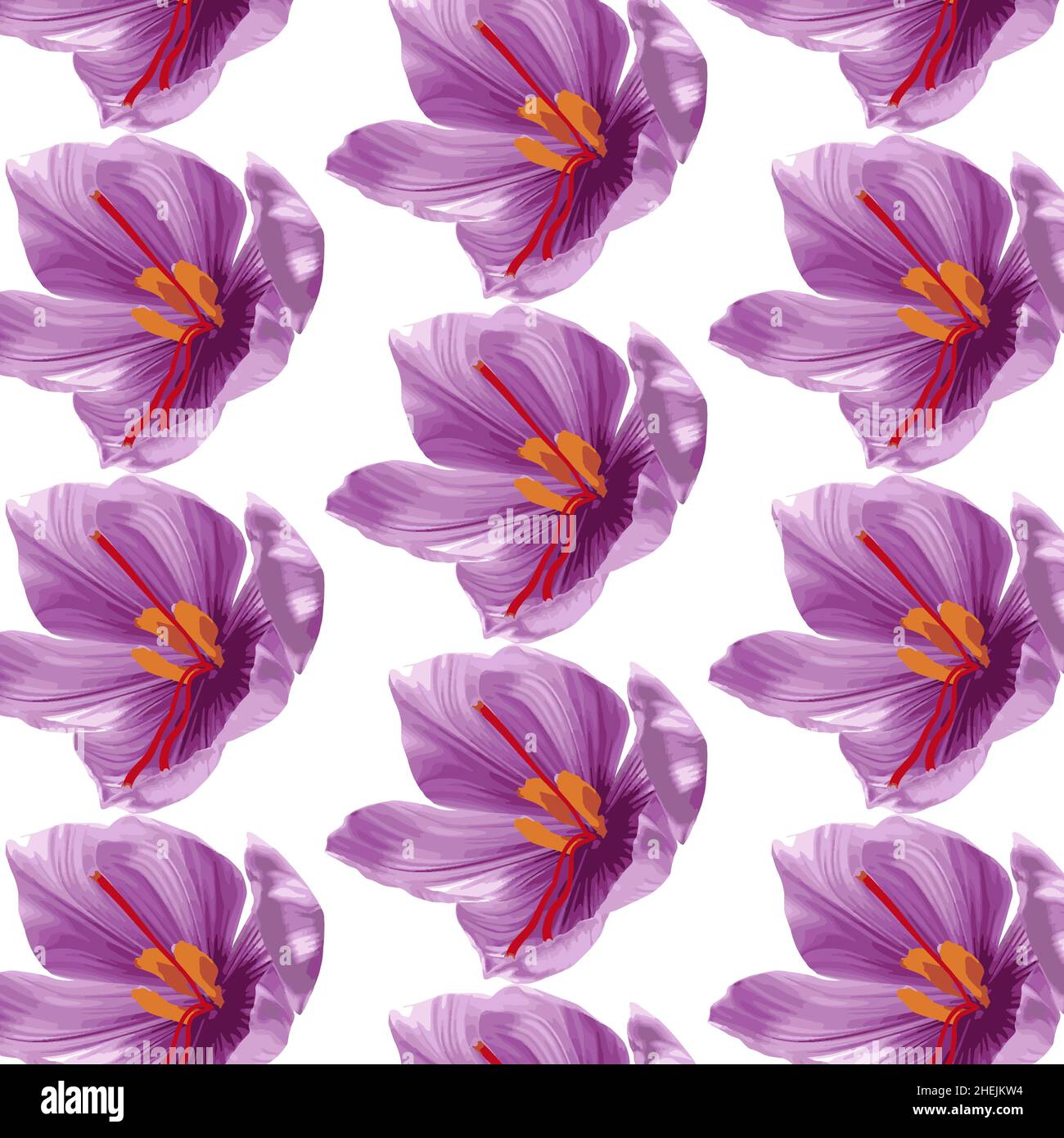 Saffron flower Bud open close-up. Seasoning expensive saffron. pattern ...