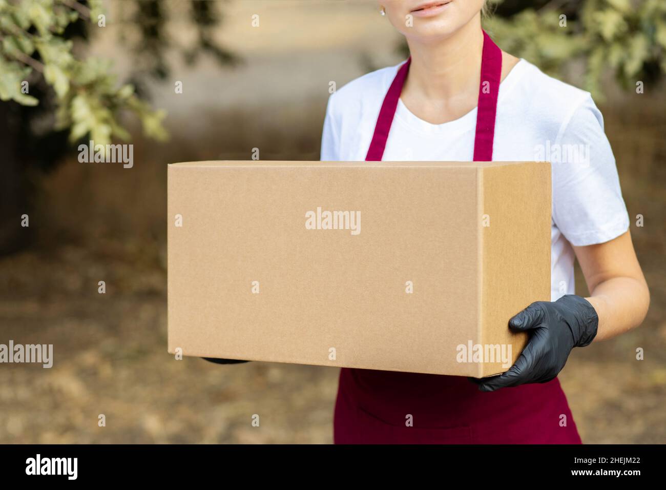 Woman in an apron hold a cardboard box with eco products. Organic food ...