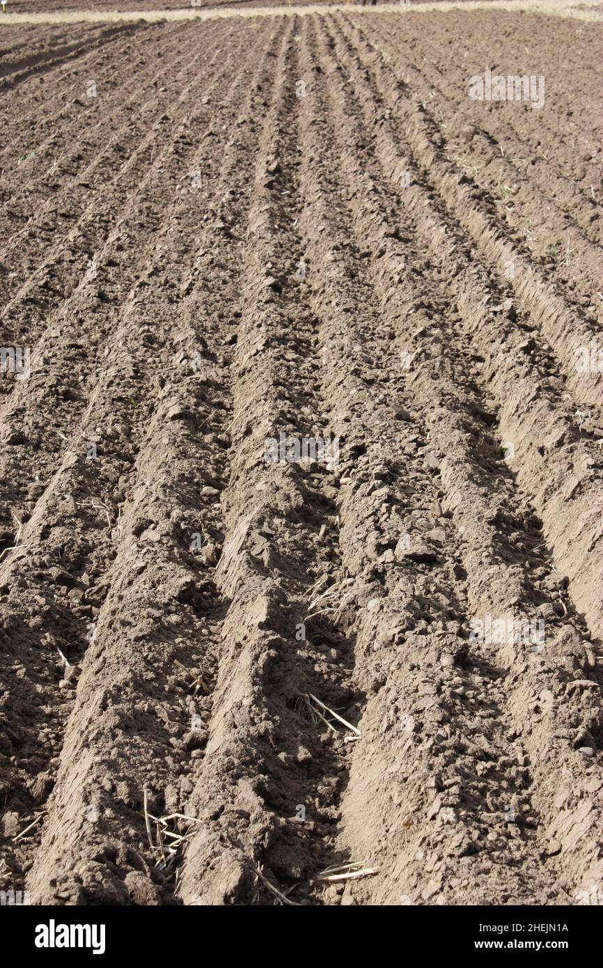 The Ploughed Furrows of a Farmers Field Stock Photo - Alamy