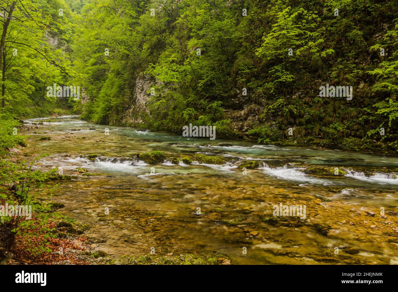 River Radovna in Vintgar gorge near Bled, Slovenia Stock Photo - Alamy