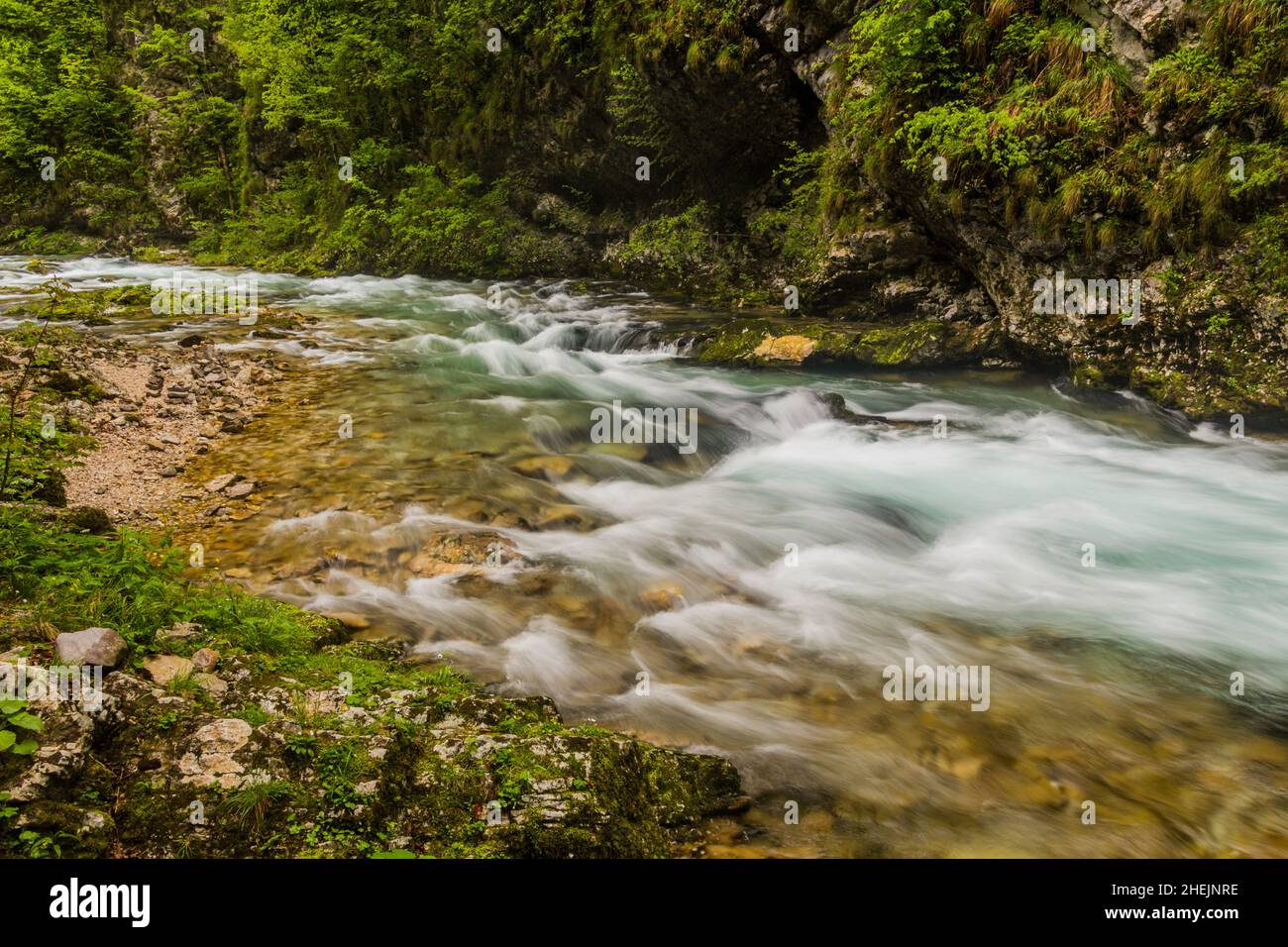 River Radovna in Vintgar gorge near Bled, Slovenia Stock Photo - Alamy
