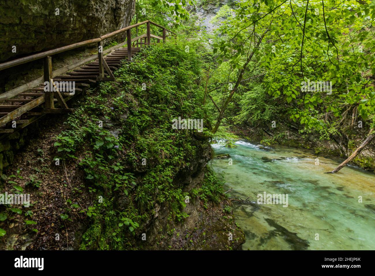 River Radovna in Vintgar gorge near Bled, Slovenia Stock Photo - Alamy