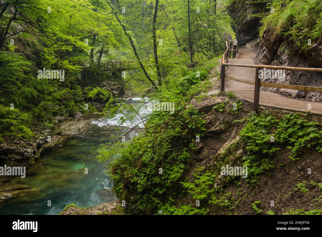 Vintgar gorge near Bled, Slovenia Stock Photo - Alamy