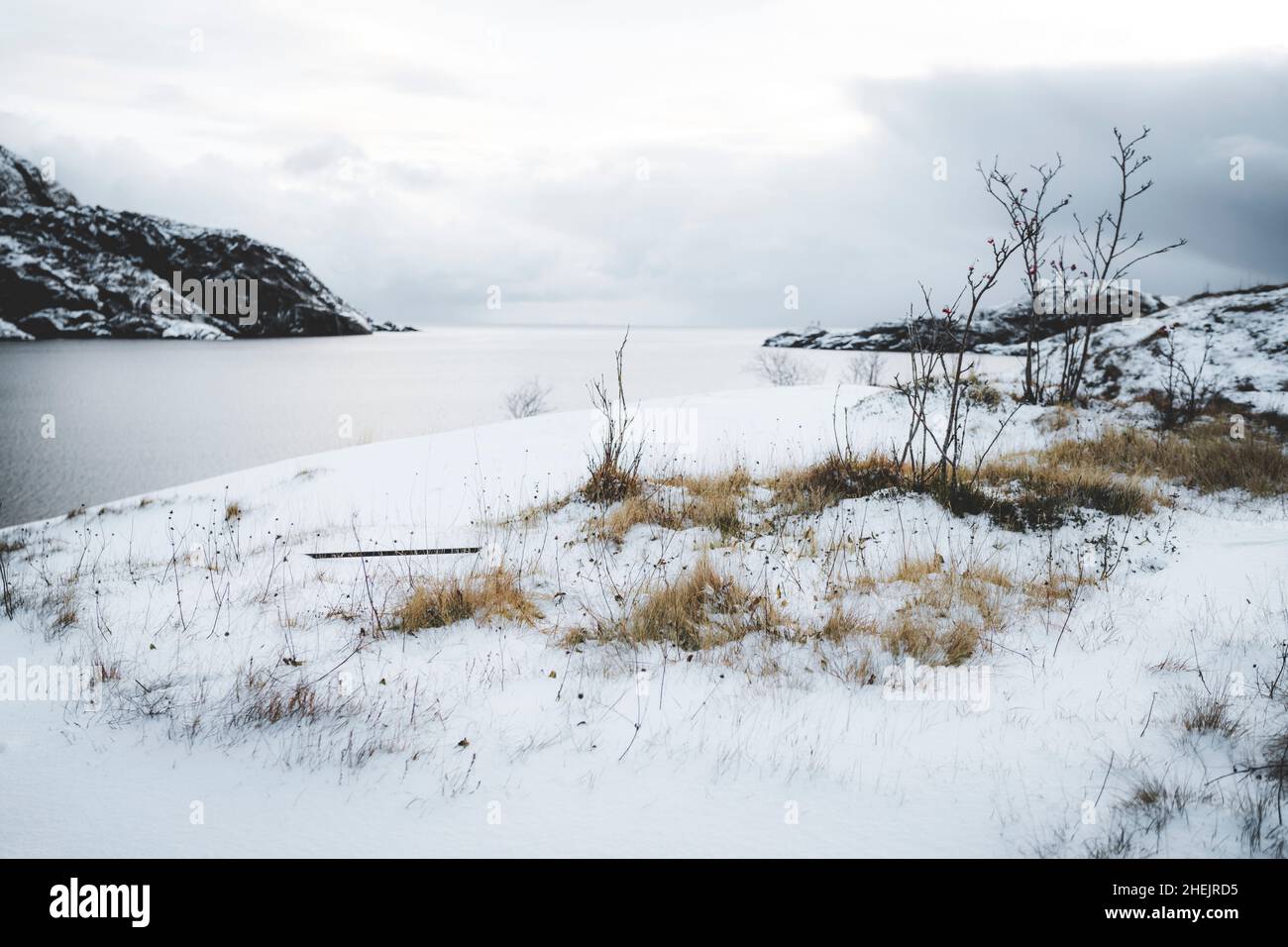 Winter sky over the snowy coastline along the frozen fjord, Nusfjord ...