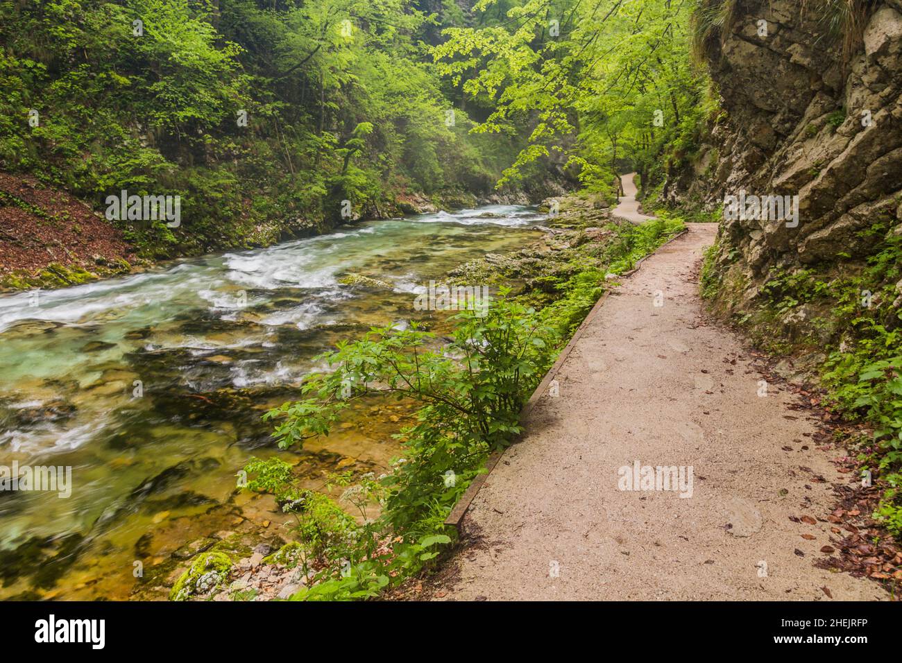 River Radovna in Vintgar gorge near Bled, Slovenia Stock Photo - Alamy