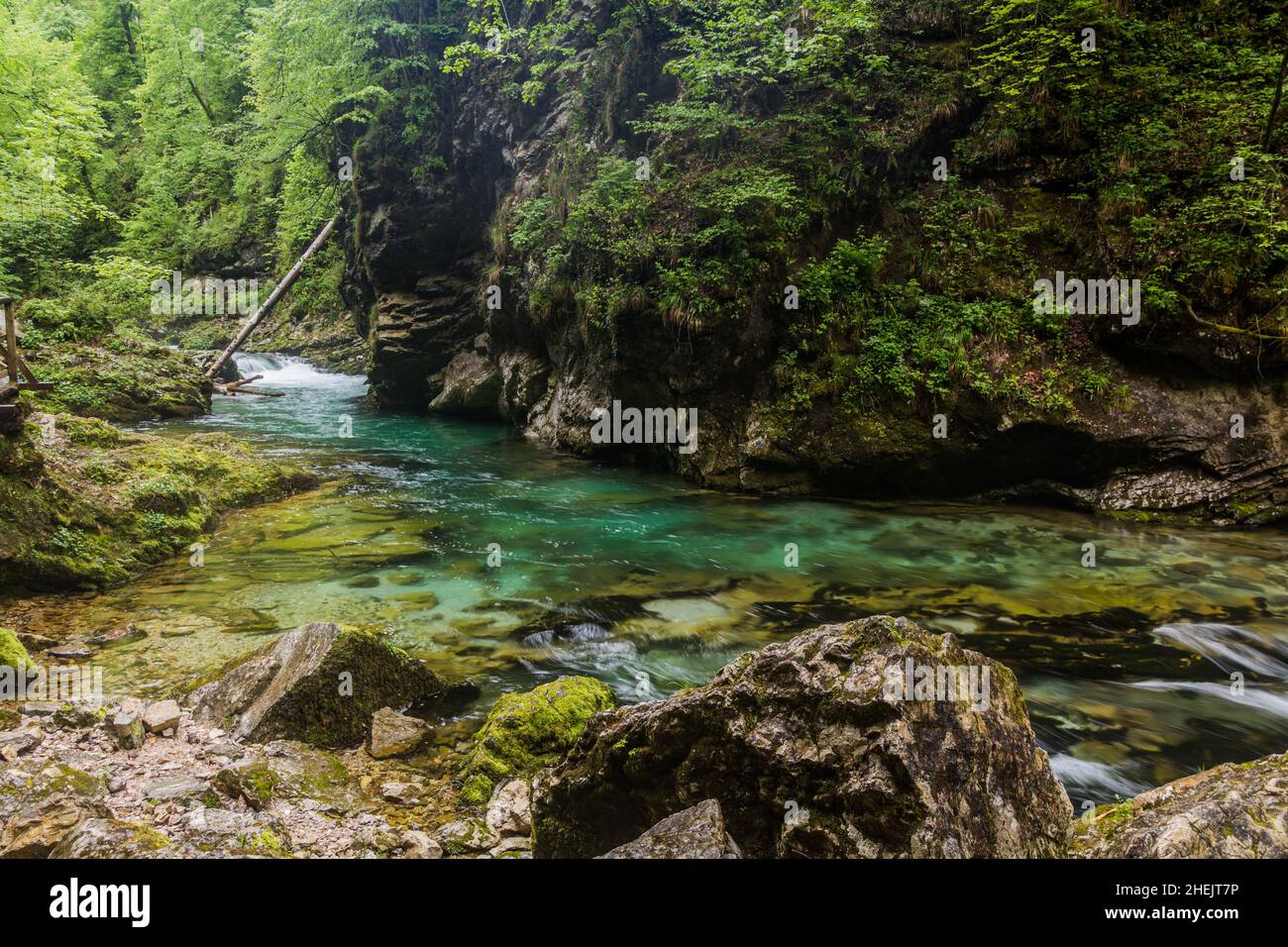Vintgar gorge near Bled, Slovenia Stock Photo - Alamy