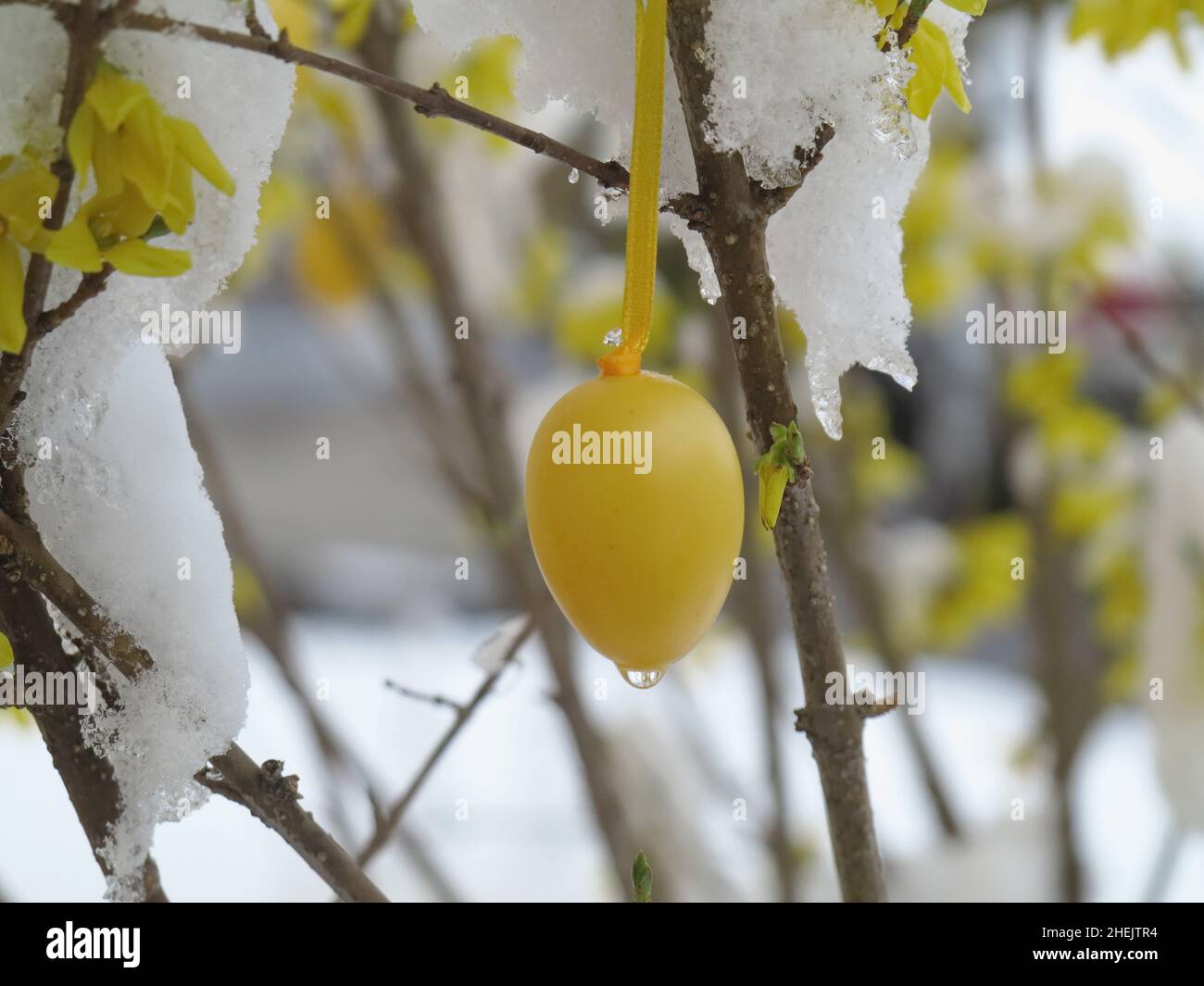 Easter egg drop hi-res stock photography and images - Alamy