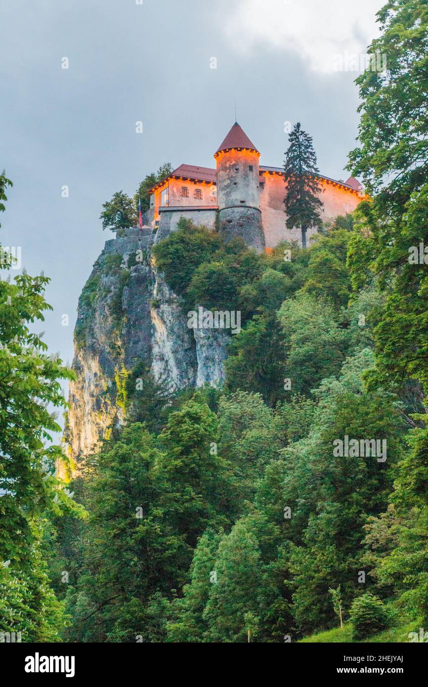 Blejski grad (Bled castle) in Slovenia Stock Photo - Alamy