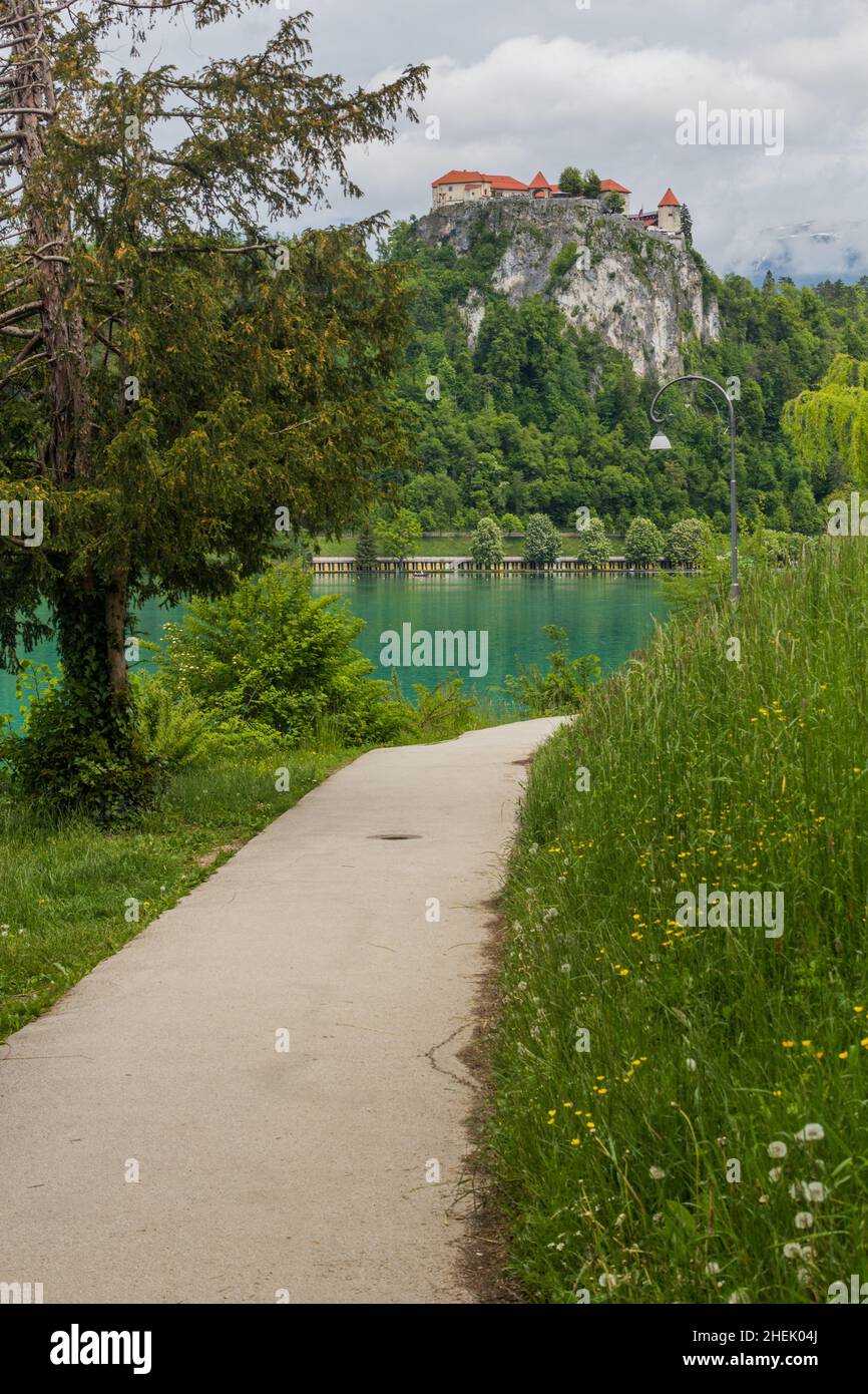 Blejski grad (Bled castle) in Slovenia Stock Photo - Alamy
