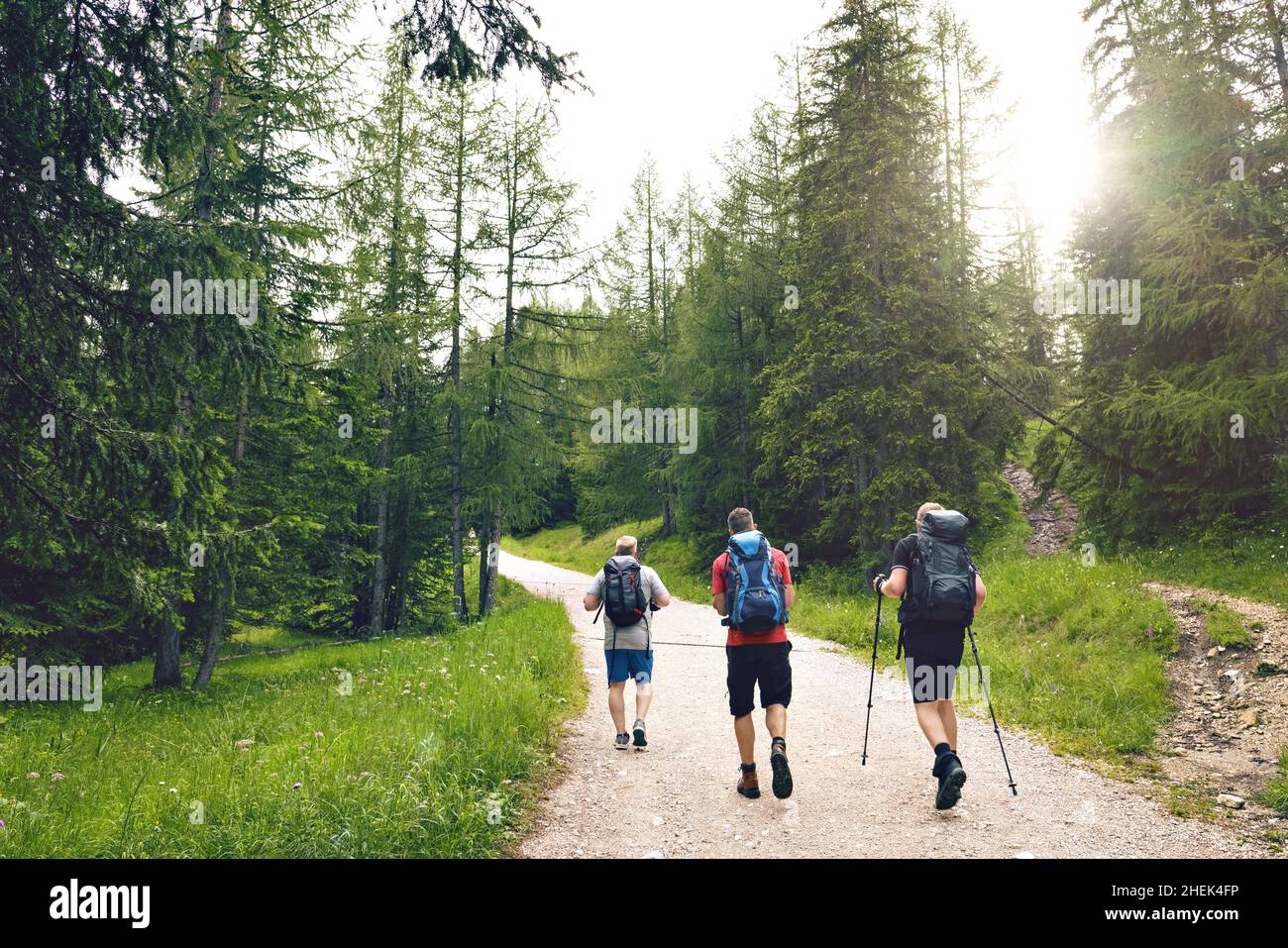 Group of people in the forest hi-res stock photography and images - Alamy