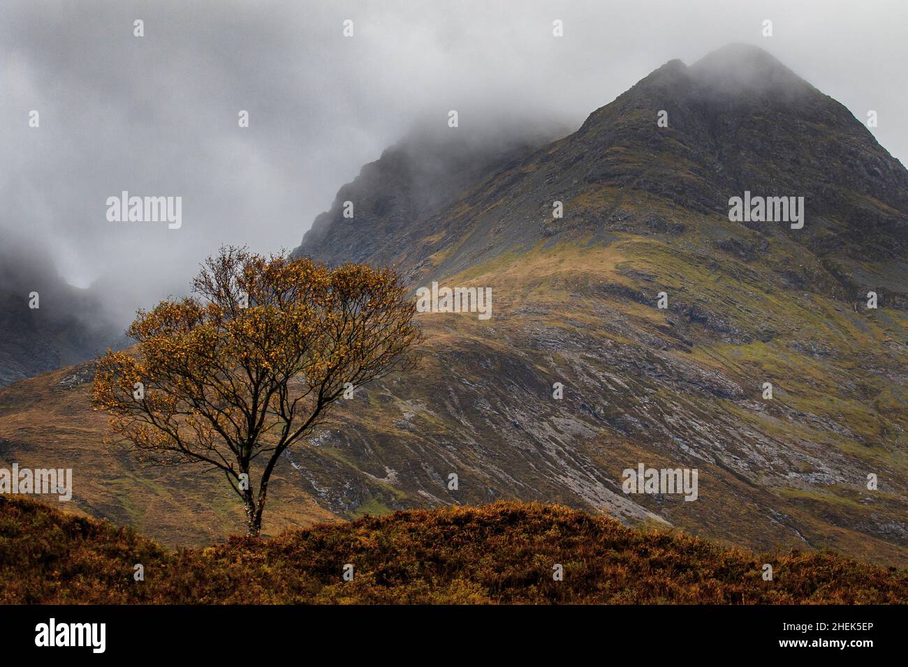 Blà Bheinn (Blaven) and lone tree, Isle of Skye, Scotland Stock Photo ...