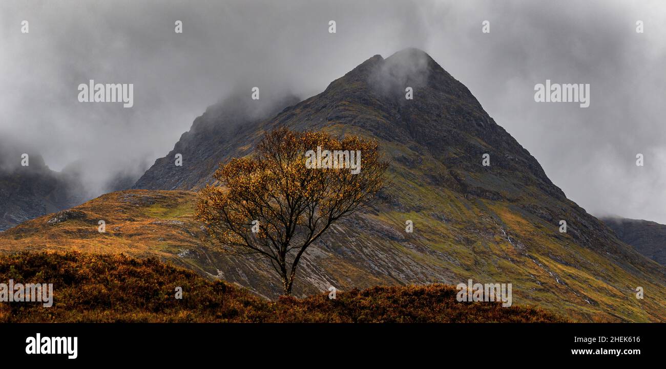 Blà Bheinn (Blaven) and lone tree, Isle of Skye, Scotland Stock Photo ...