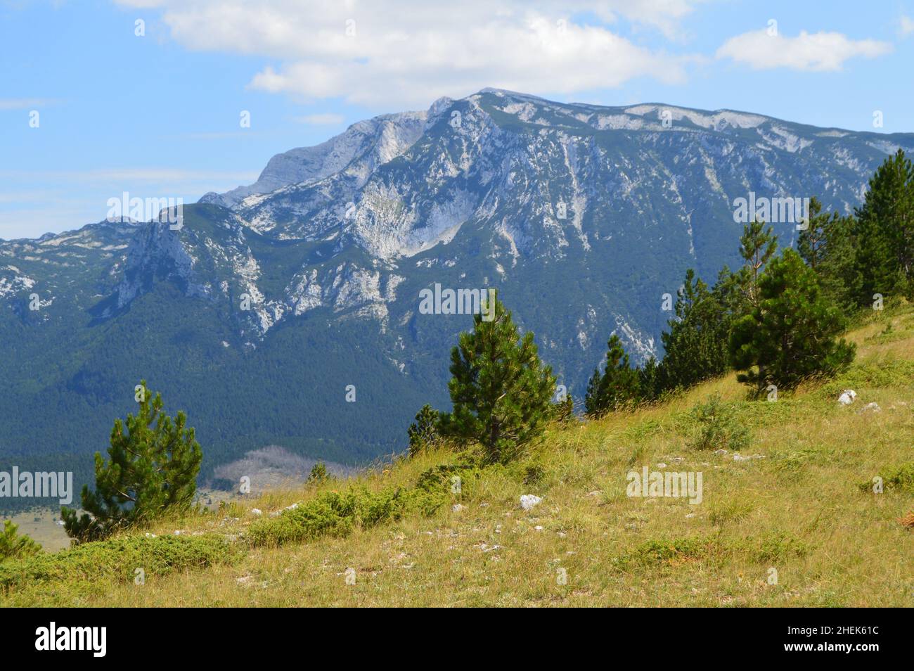 Vran mountain hi-res stock photography and images - Alamy