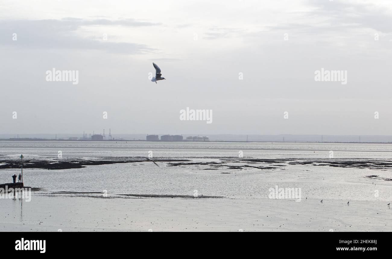 Grey expanse ocean hi-res stock photography and images - Alamy