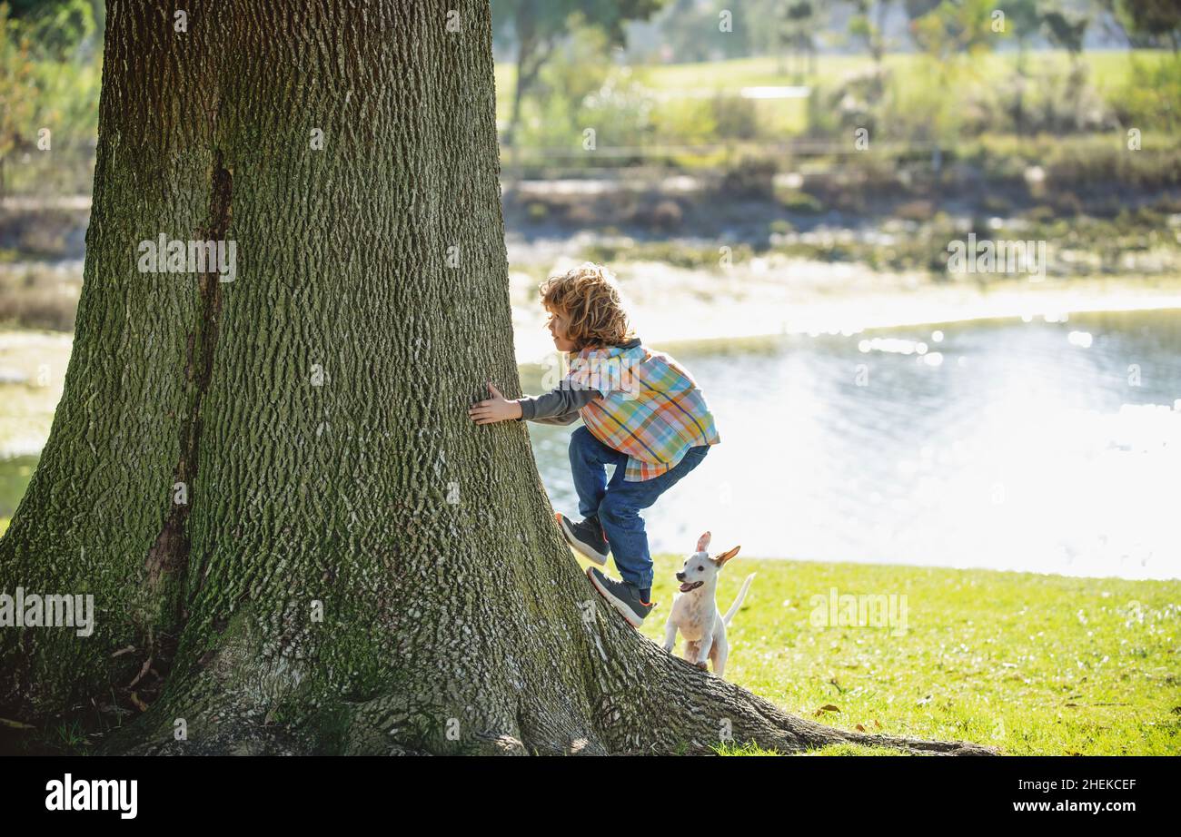Child with dog climb a tree, kid playing with puppy in a park and ...