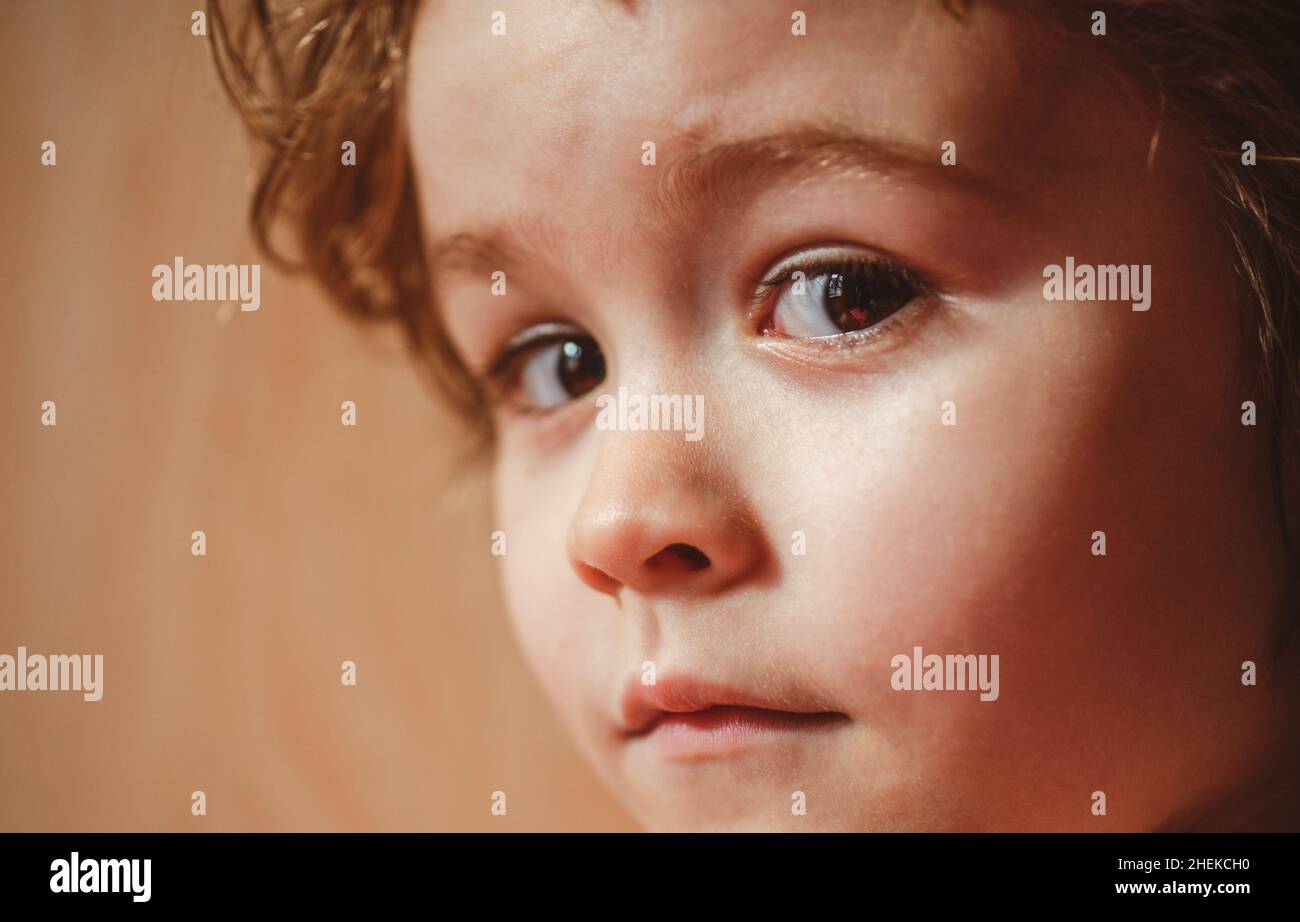 Portrait of a amazed surprised child boy. Close up caucasian kids face ...