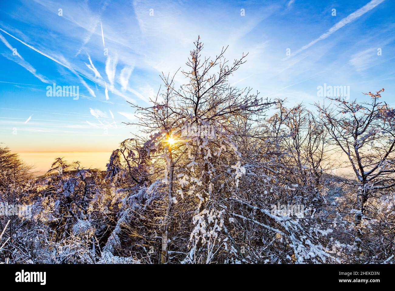 sunrise under the winter calm mountain landscape with beautiful fir ...