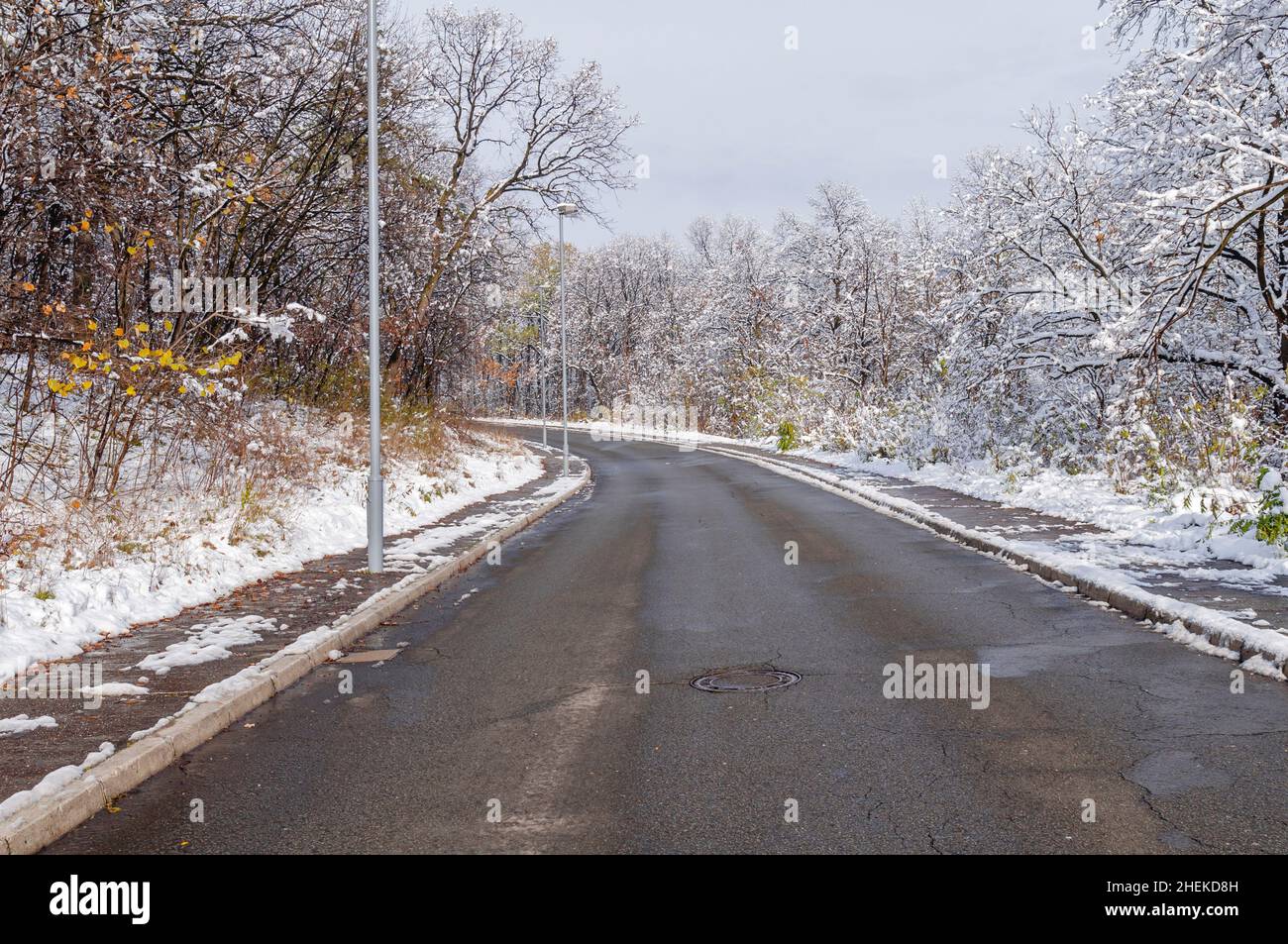 Country asphalt road with tree covered with snow an sky nature ...