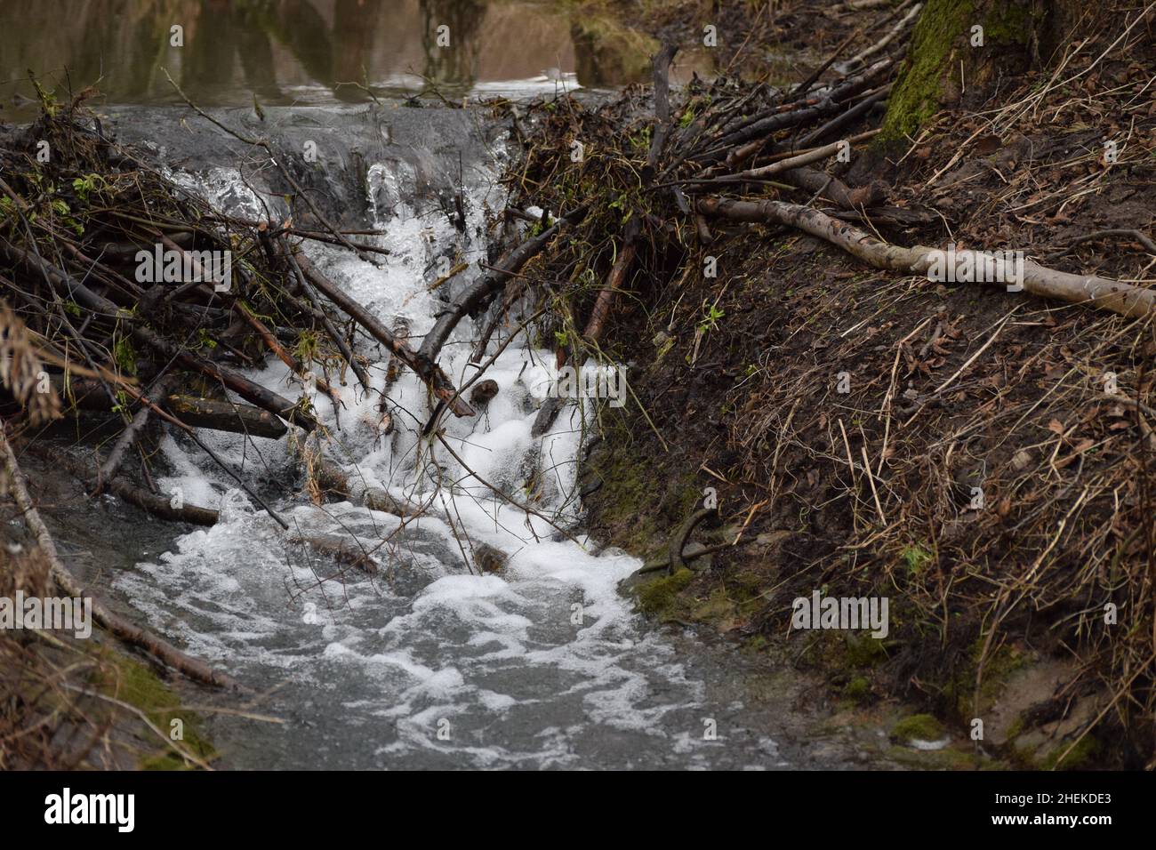 the Water makes its Way Stock Photo - Alamy