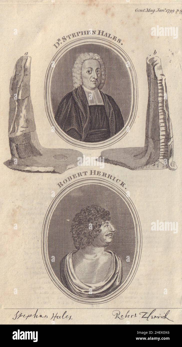 Portrait of stephen hales hi-res stock photography and images - Alamy