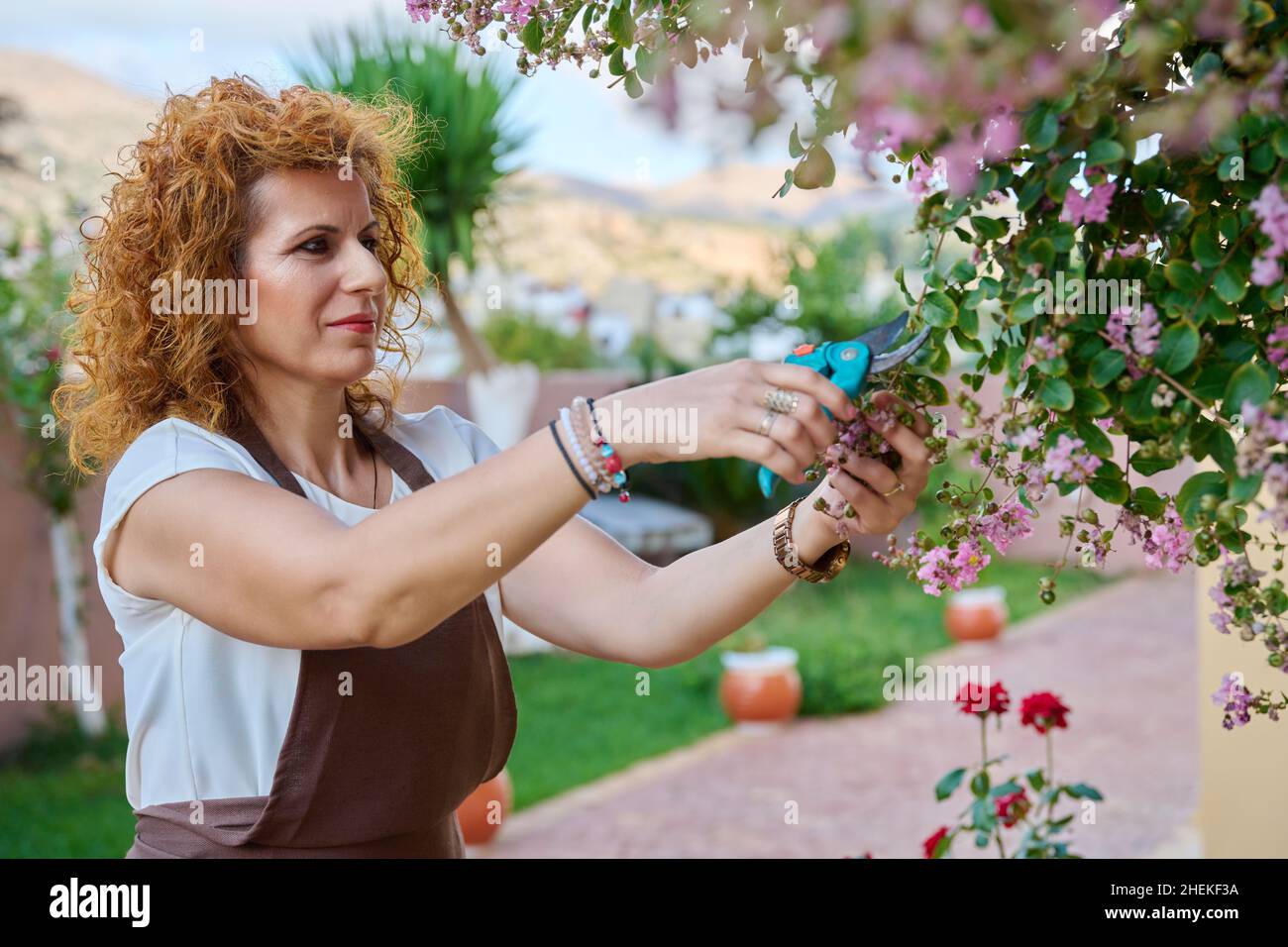 Woman in an apron with pruner, flowering bush in garden Stock Photo - Alamy