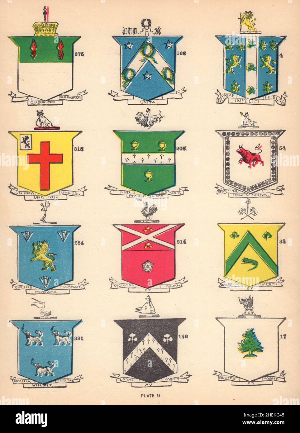 Irish arms Barry Cole Corrigan Loftus Coffey Colgan Burke Broderick ...