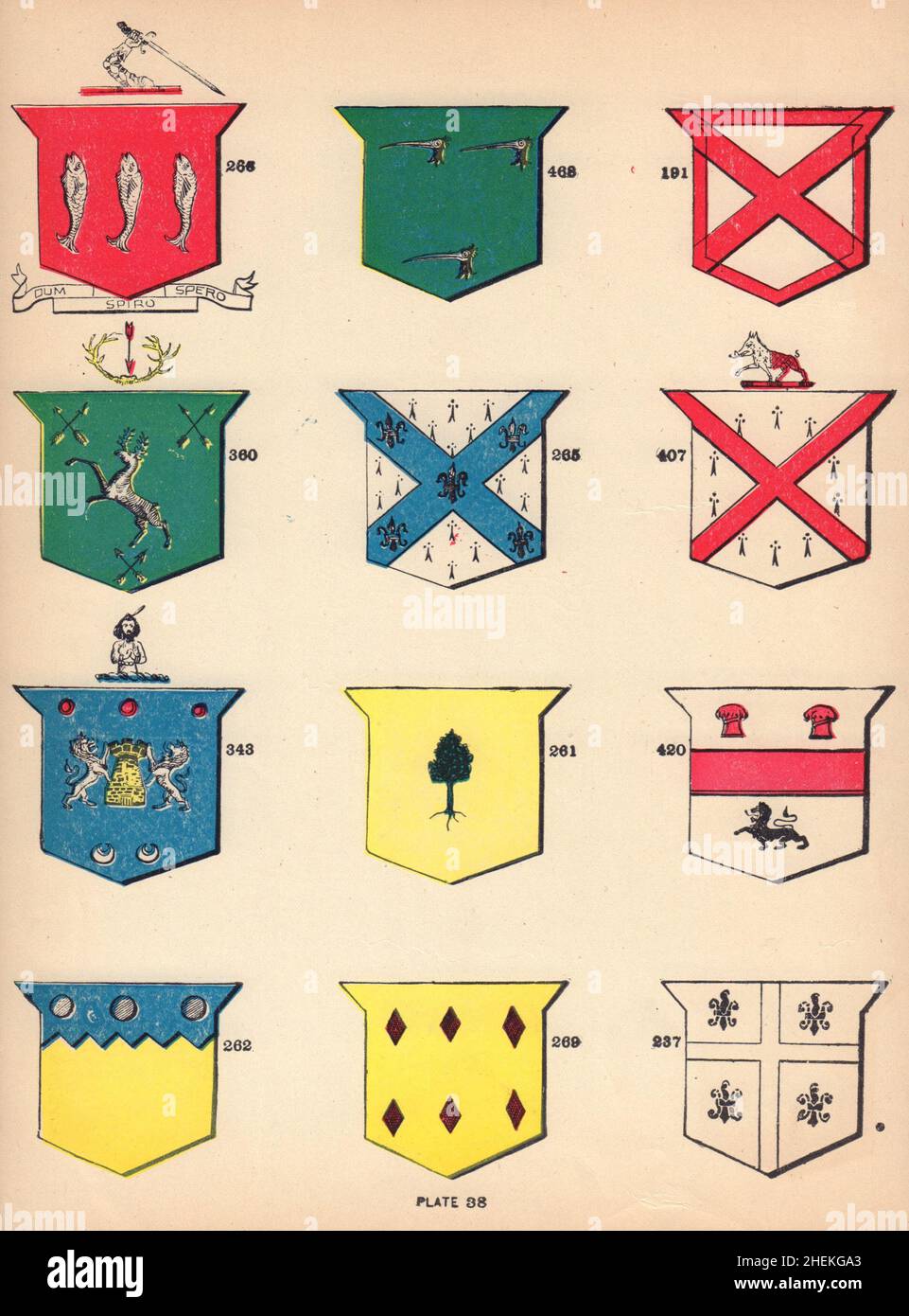 Irish arms Geraghty Lee Higgins Gahan Holland Hennessy Desmond Kinsella ...