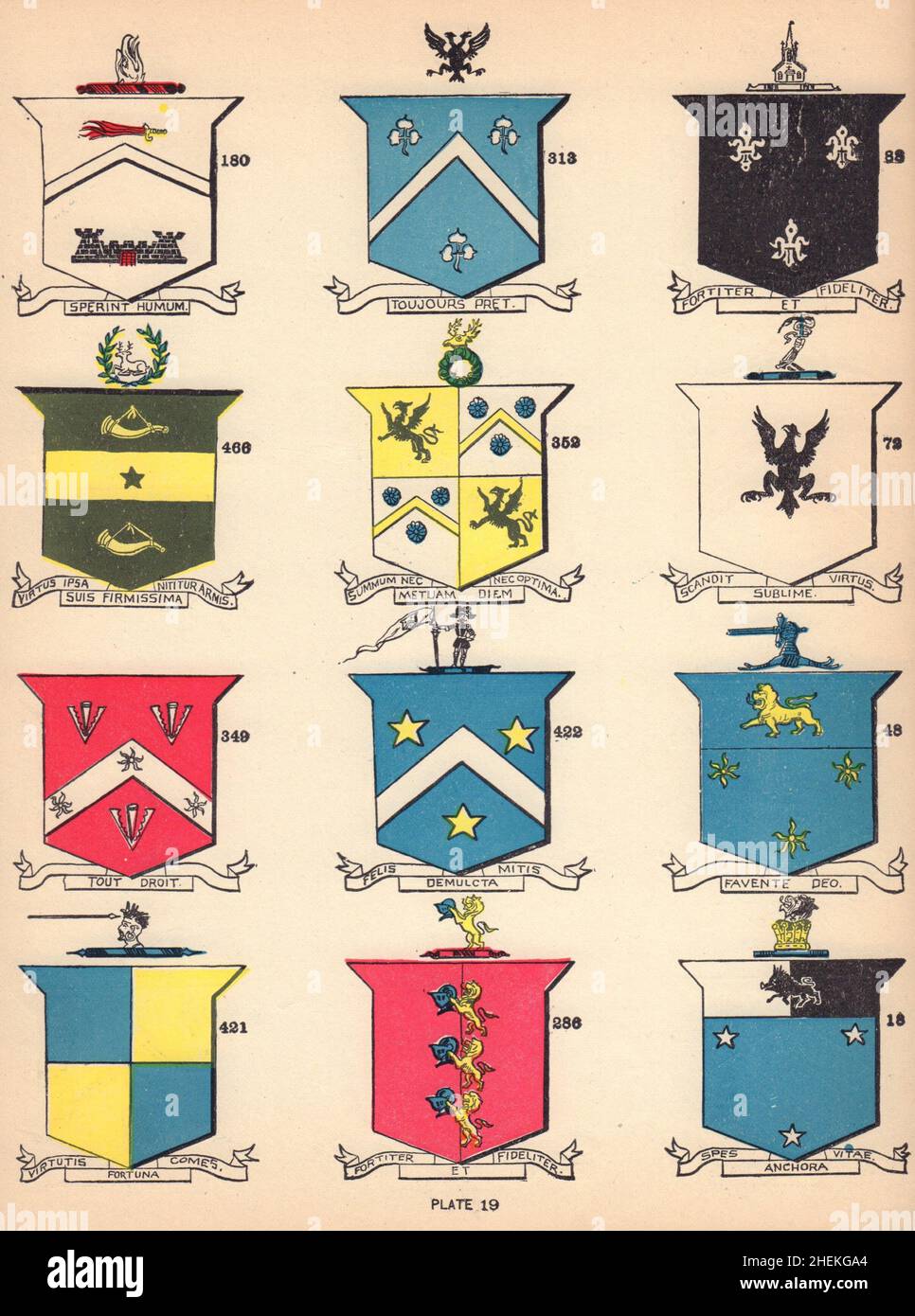 Irish arms Doran Moriarty Murtagh Donnelly Carr Morgan Monaghan ...