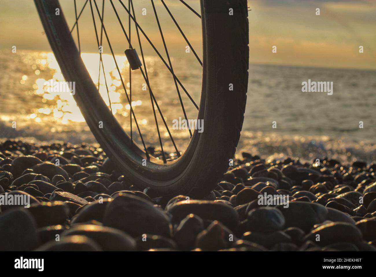 half of bicycle wheel on the beach Stock Photo - Alamy