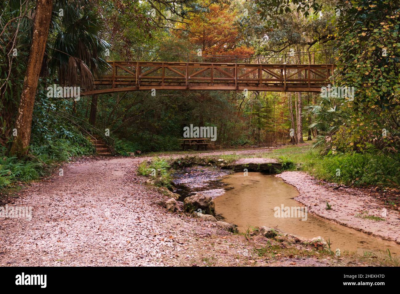Garden in Fall Stock Photo - Alamy