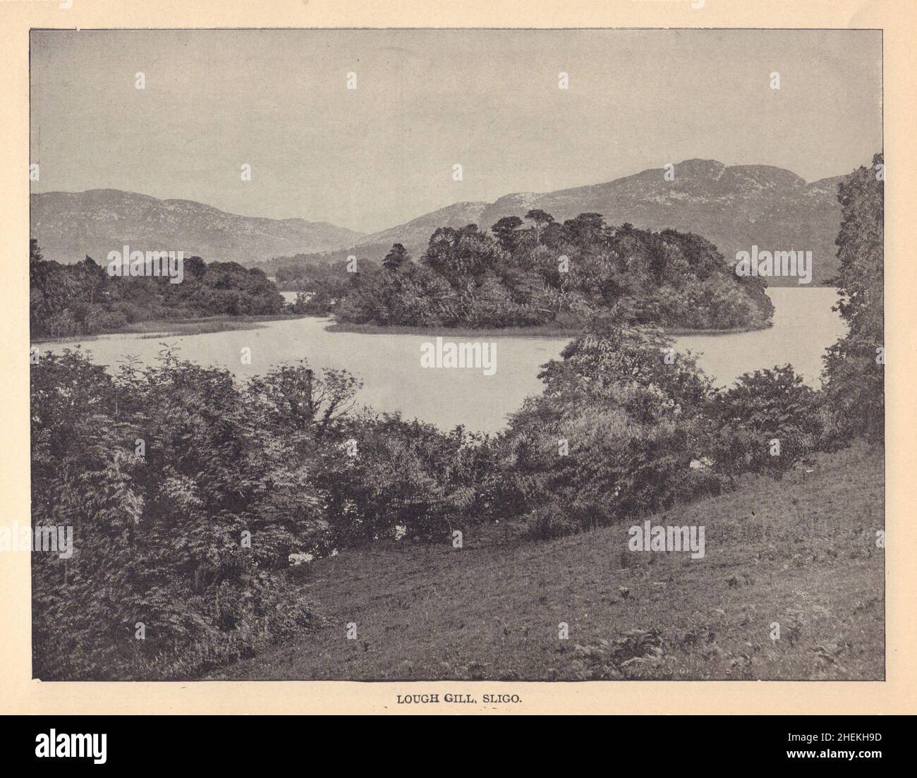 Patrick gill hi-res stock photography and images - Alamy