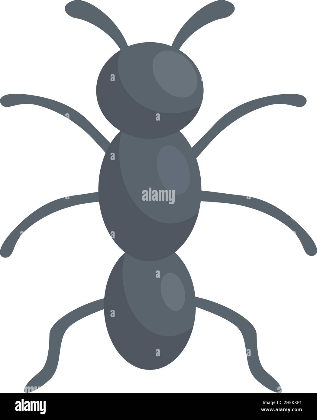 Queen ant Stock Vector Images - Alamy