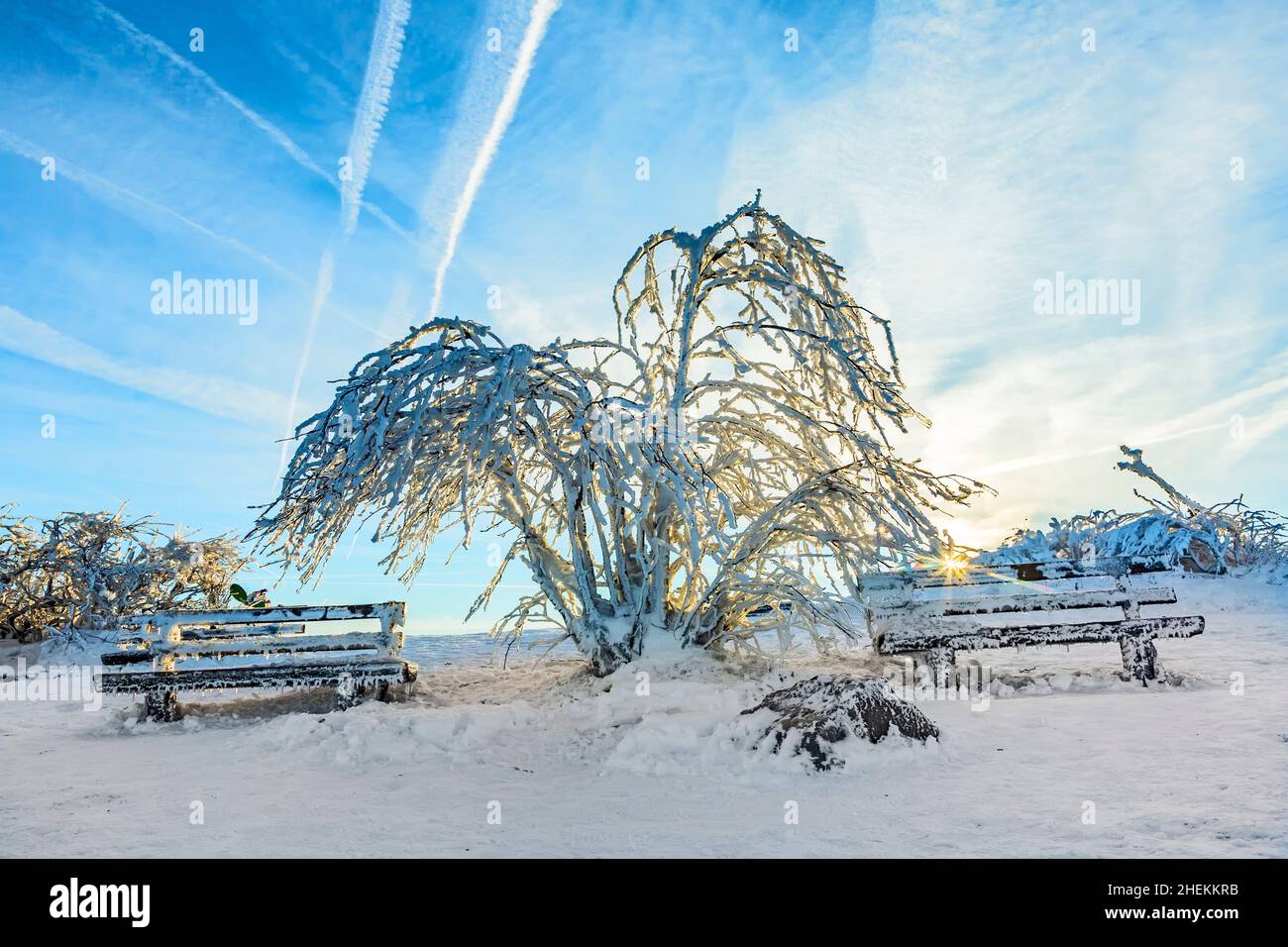 Sunshine under the winter calm mountain landscape with beautiful fir ...
