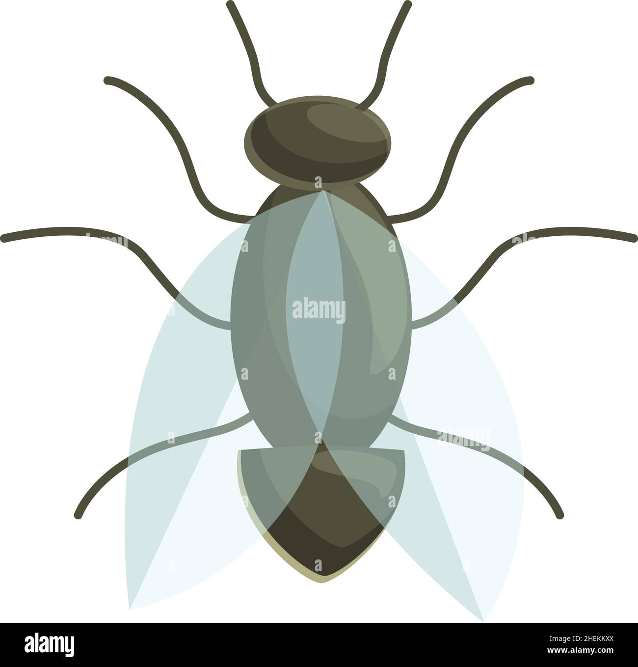 Fly icon cartoon vector. House bug. Housefly drosophila Stock Vector ...