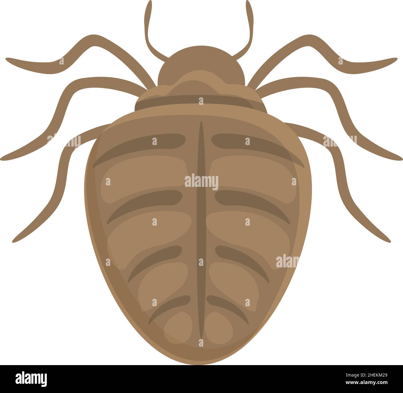 Bug icon cartoon vector. Insect beetle. Cute bug Stock Vector Image ...