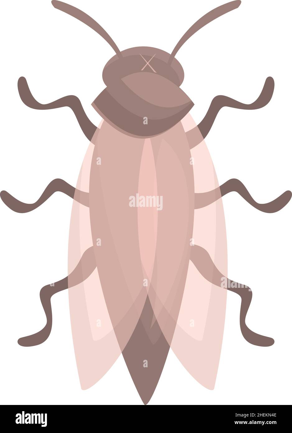 Home fly icon cartoon vector. House bug. Housefly drosophila Stock ...