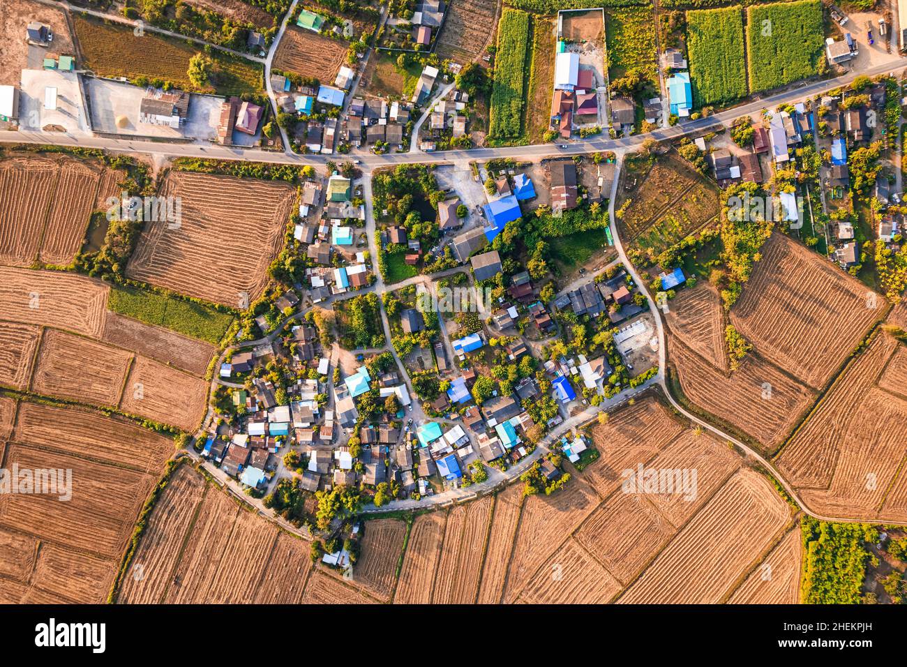 Aerial view of suburban village among harvested paddy fields with ...