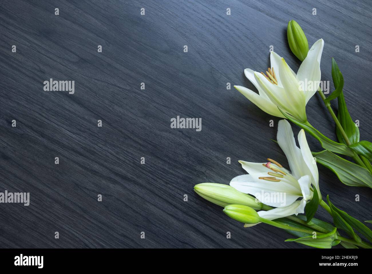 Easter Lily Page Border