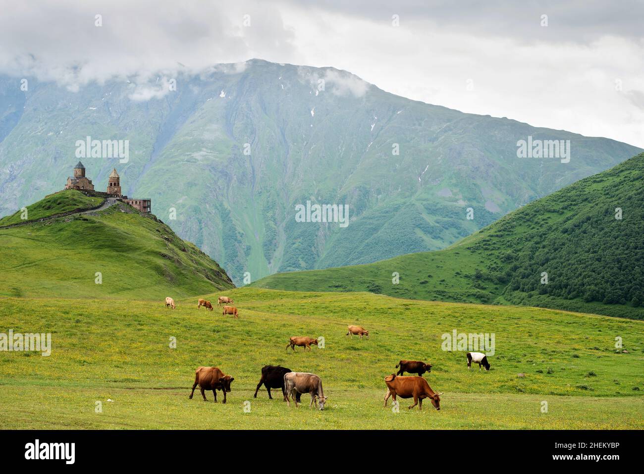 Trinity Church in Gergeti - Gergetis Tsminda Sameba Stock Photo - Alamy