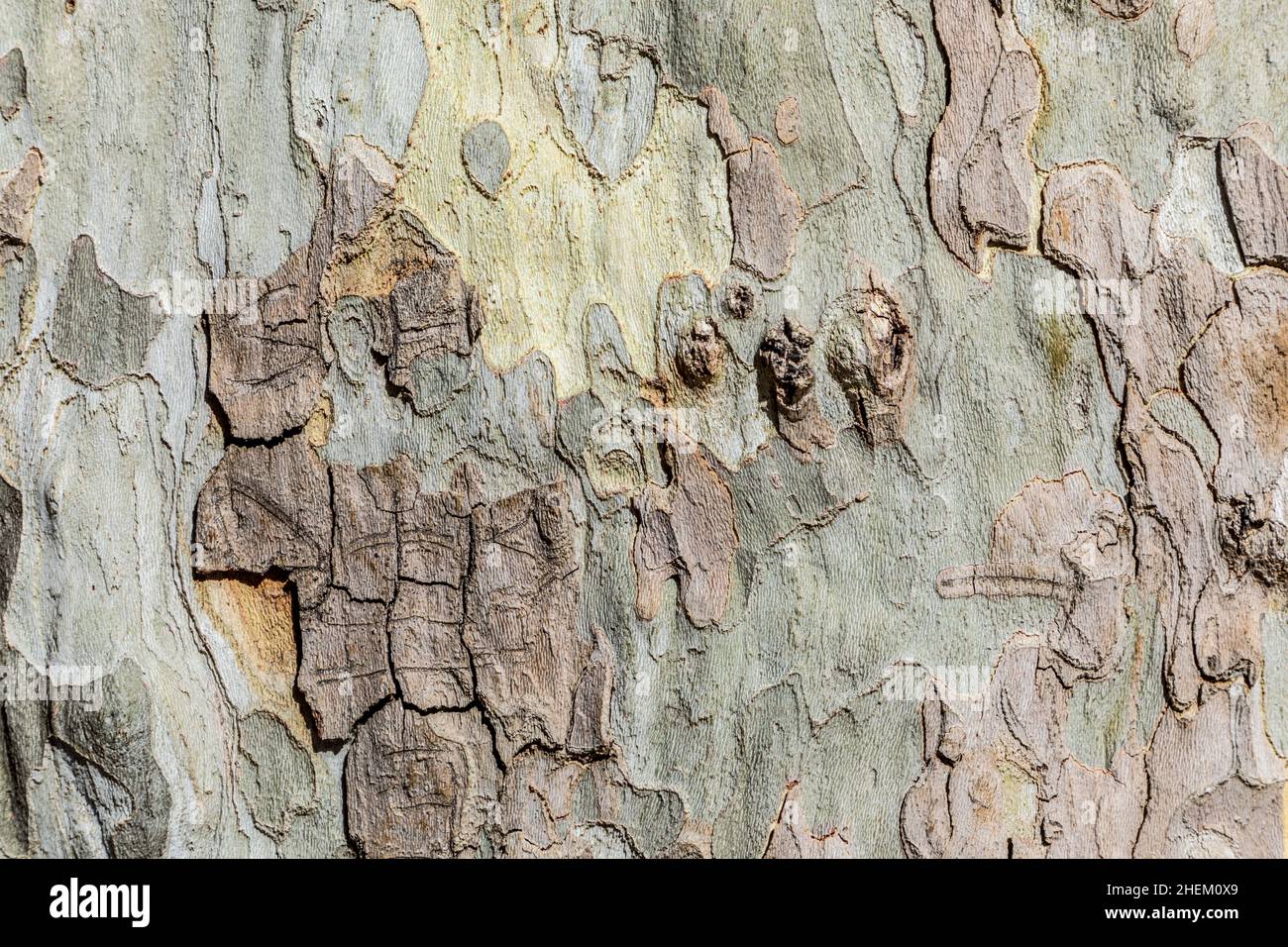 Aix background hi-res stock photography and images - Alamy