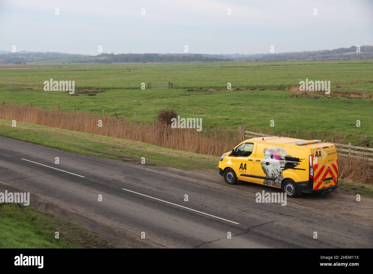 AA BREAKDOWN FORD TRANSIT VAN FEATURING TUKKER THE DOG Stock Photo - Alamy